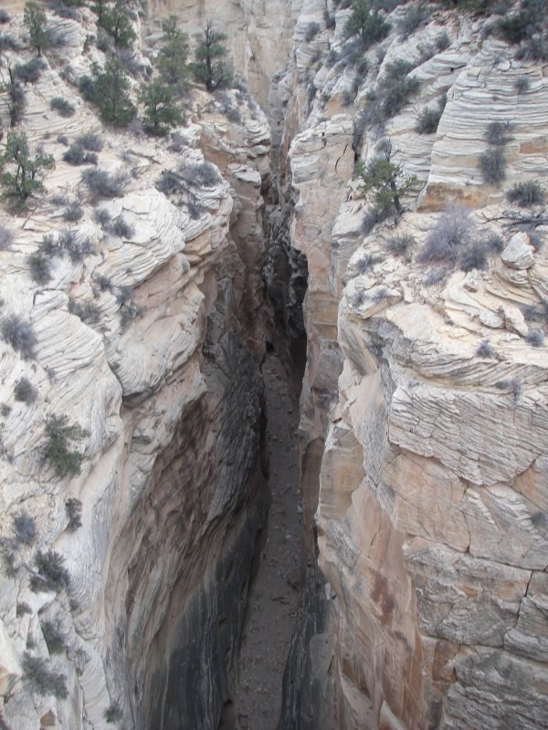 Chapter 1305 – Return of the Mount Hua